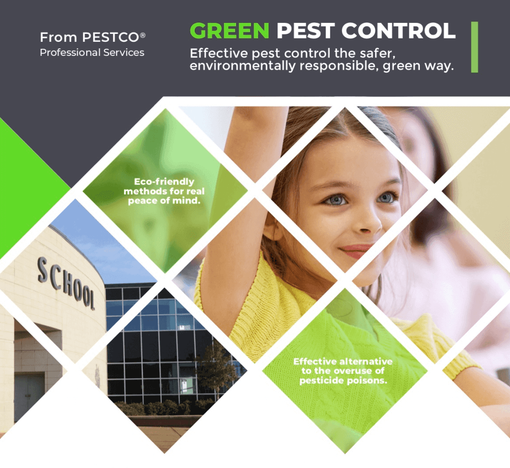 Pittsburgh Green Pest Control | Schools And Universities | Pestco