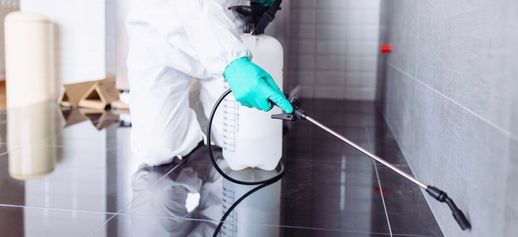 Pittsburgh Pest Control: Why Pestco Professional Services?