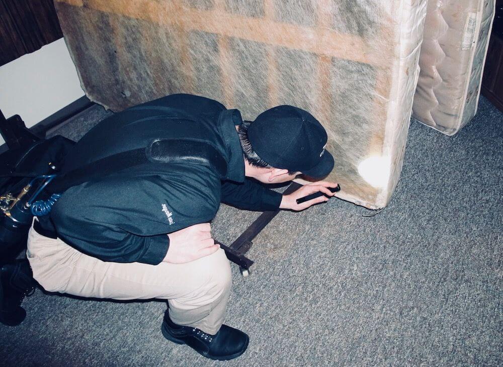 How To Keep Your Home Bed Bug Free Through Fall And Winter