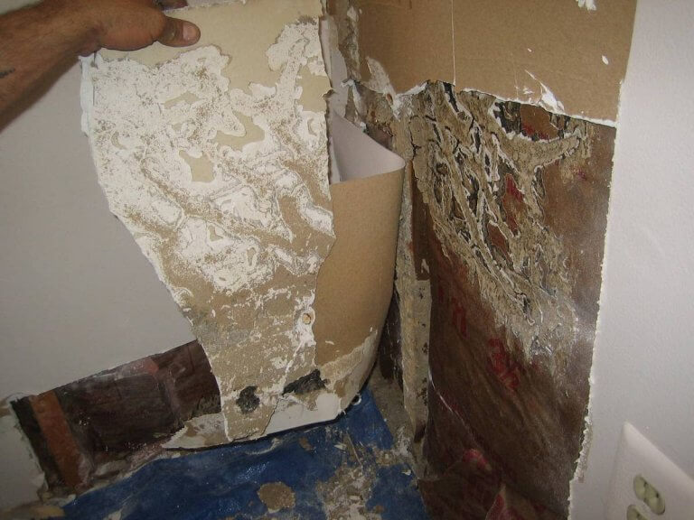 How To Identify Termite Activity In Your Pittsburgh Home