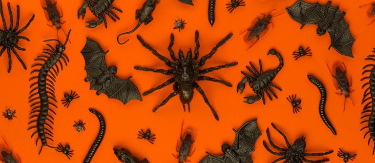 9 Tips To Have A Pest-Free Halloween Holiday