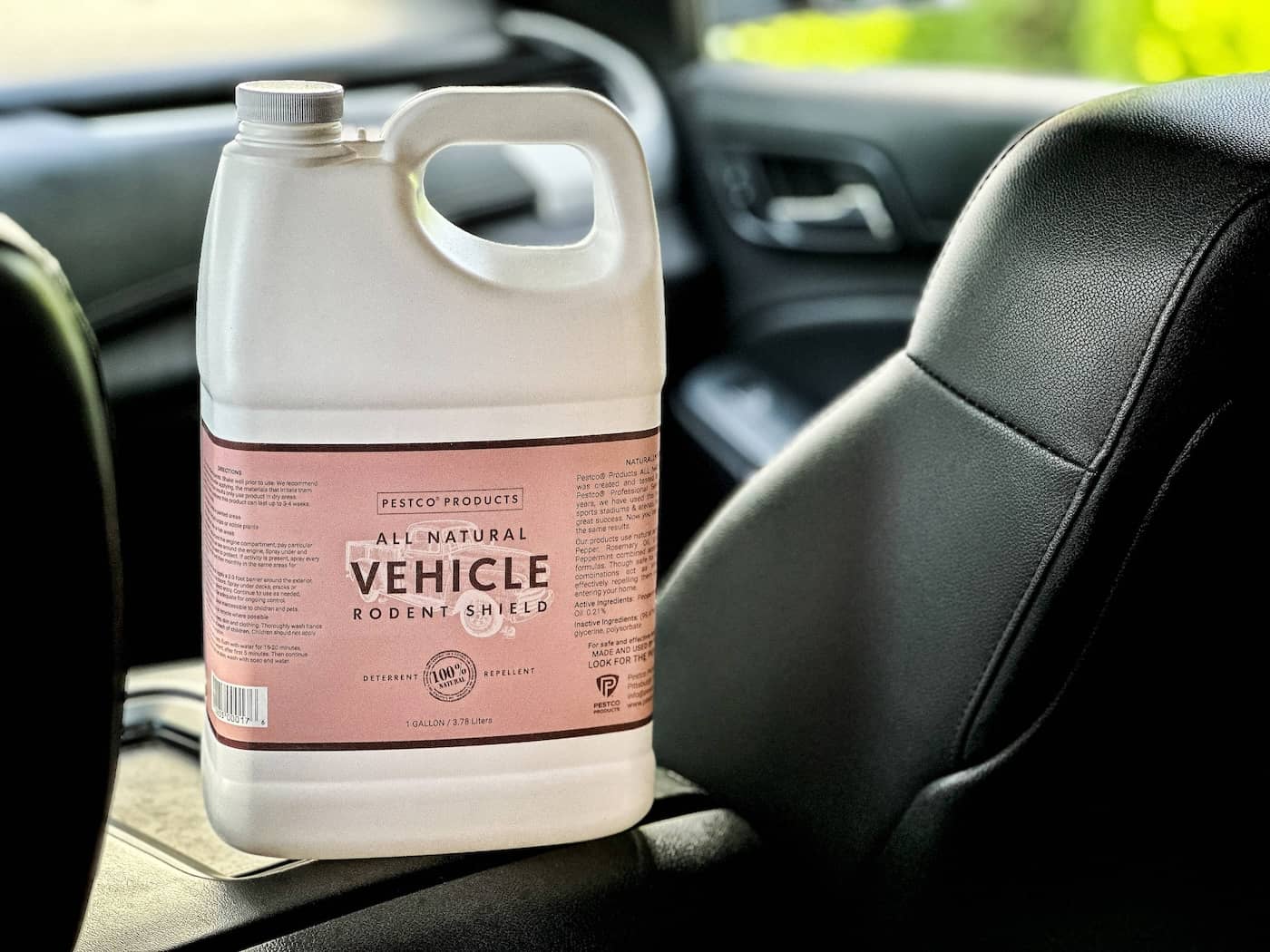 10 Simple Steps To Stop Rodents From Destroying Your Car