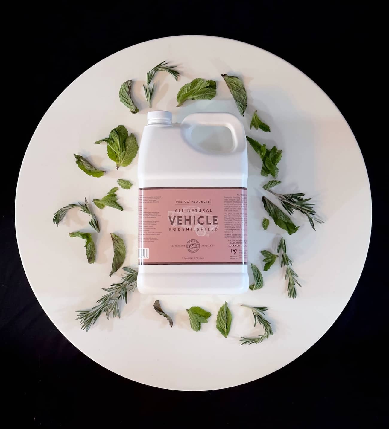 Why Peppermint Is Mother Nature’s Best Pest Repellent