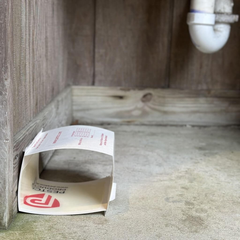 How to Use Glue Board Traps For Rodents and Insect Pests